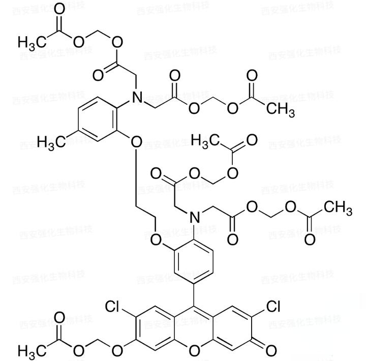 （CAS：121714-22-5）Fluo-3，AM，针对人T细胞Ca2+浓度检测步骤 - 知乎