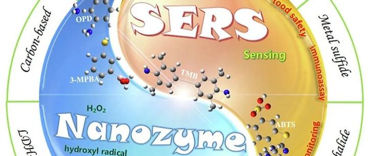 【Trends Anal.Chem】将表面增强拉曼光谱应用于纳米酶研究：方法、材料和应用 - 知乎