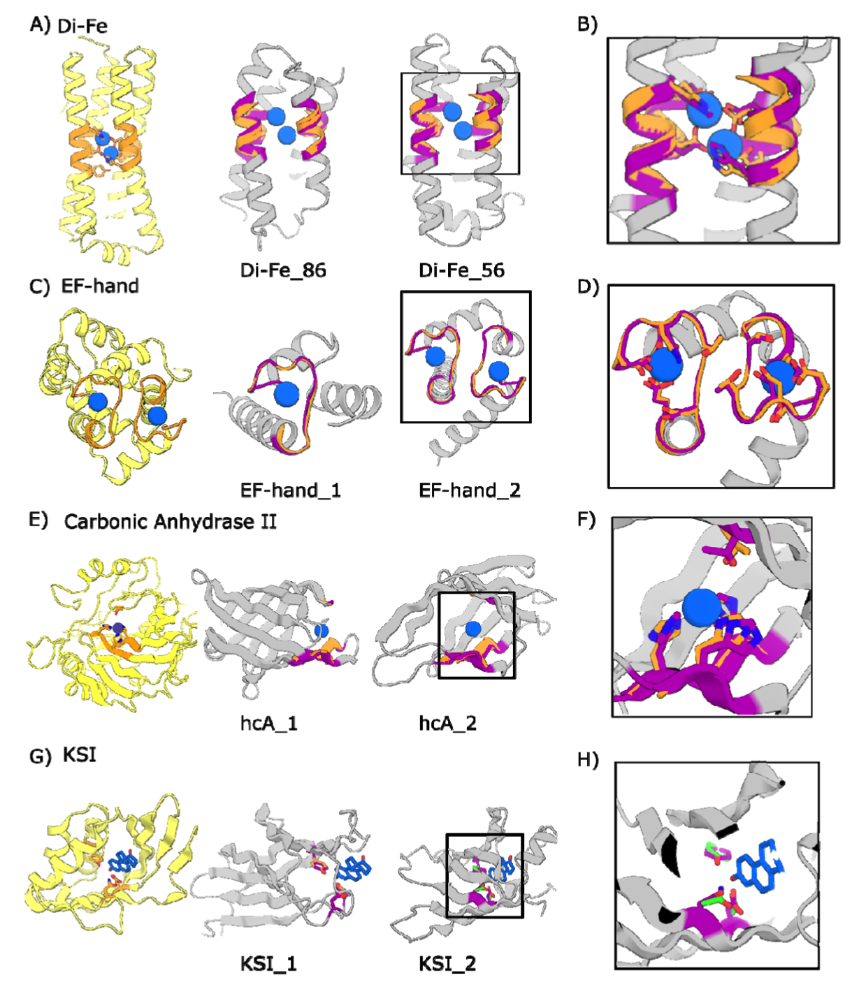 AI+蛋白设计｜幻想设计到蛋白修补 - 知乎