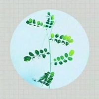 Vmware安装显示Microsoft Runtime DLL 安装程序未能完成安装及无权输入许可证密钥的解决方法 - 知乎