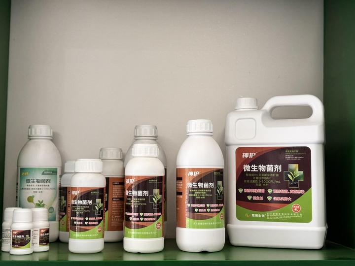 什么是贝莱斯芽孢杆菌CY30 - 知乎