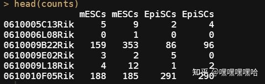 RNA-seq入门实战（三）：从featureCounts与Salmon输出文件获取counts矩阵 - 知乎