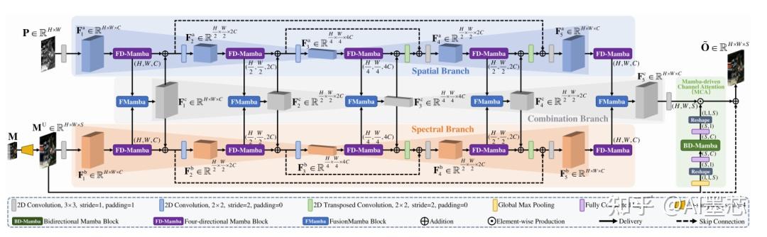 入选TPAMI2025！双通道卷积神经网络新突破！ - 知乎