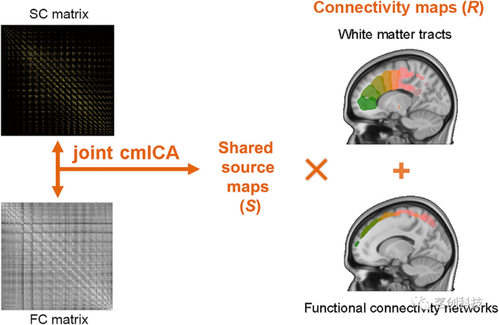 Hum Brain Mapp | 联合连接矩阵独立成分分析：结构和功能连接的自动链接 - 知乎