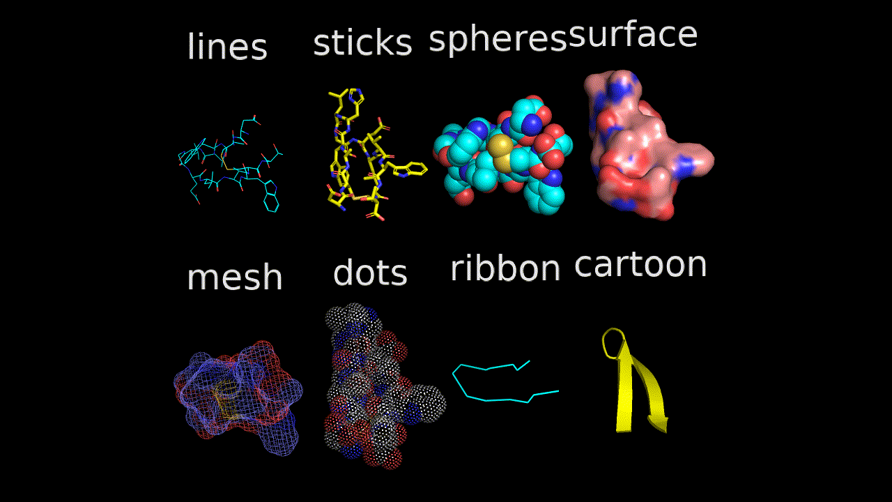 Pymol-简介 - 知乎