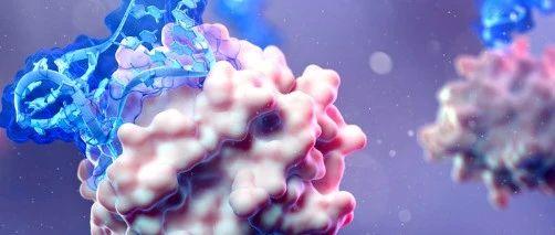 Nat. Methods | Foldseek-Multimer：快速且高灵敏度的蛋白质复合物比对方法 - 知乎