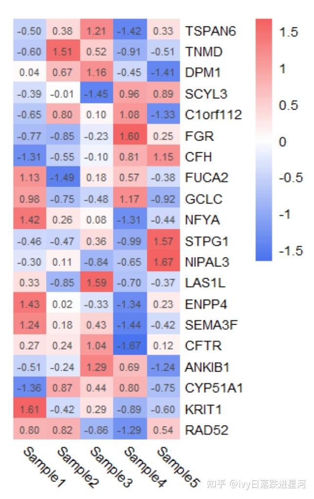 R语言中heatmap()、heatmap.2()、pheatmap()、ComplexHeatmap()绘制热图 - 知乎