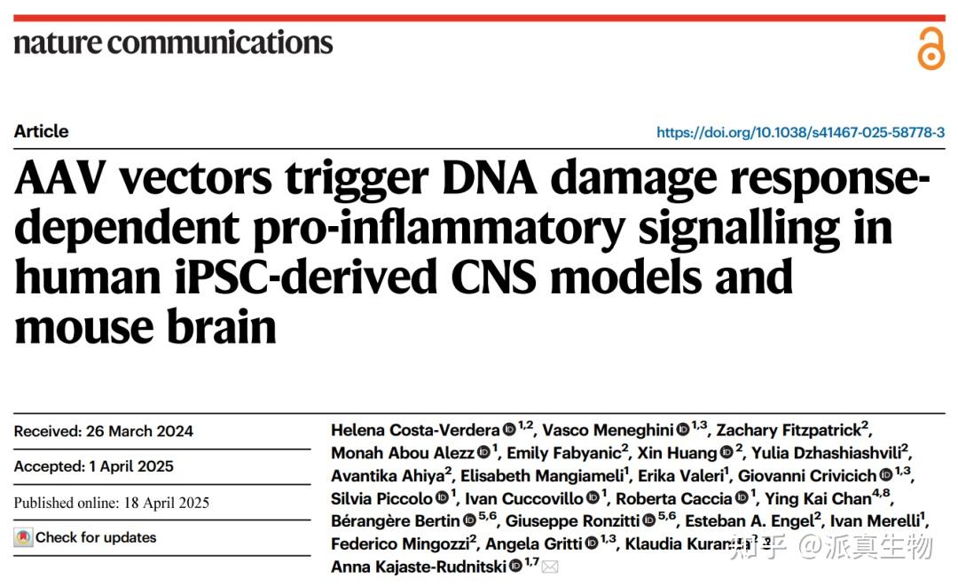 Nat Commun | AAV基因治疗在CNS中引发的剂量依赖性不良事件与DNA损伤反应依赖性促炎信号传导有关 - 知乎