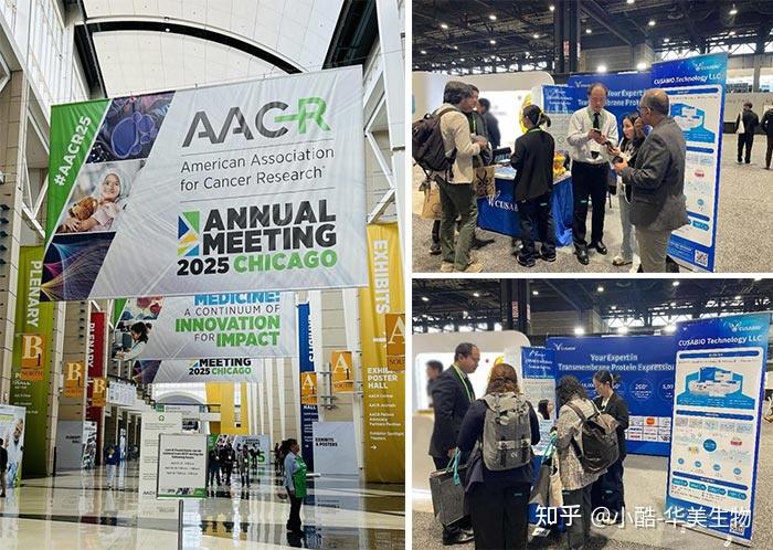 2025 AACR：值得关注的 ADC 靶点及其药物研发进展 - 知乎