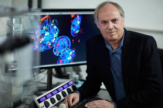 Hans Clevers-小肠干细胞marker Lgr5发现者 - 知乎