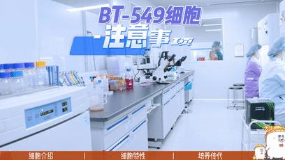 BT-549细胞培养，人乳腺管癌细胞培养攻略 - 知乎