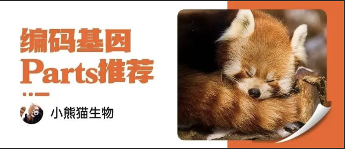 Ailurus Hub | 怎么控制细菌的工作 - 编码基因Parts推荐（下） - 知乎