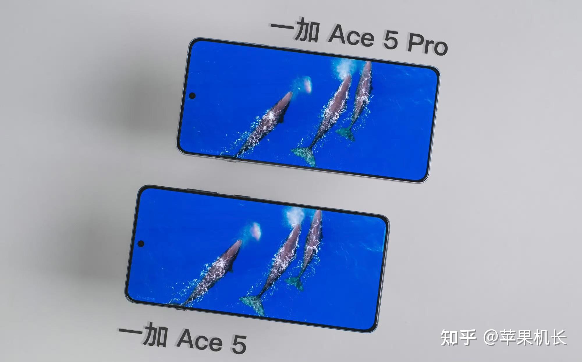 一加Ace5和Ace5 Pro到底该怎么选？主要是看这三个区别 - 知乎