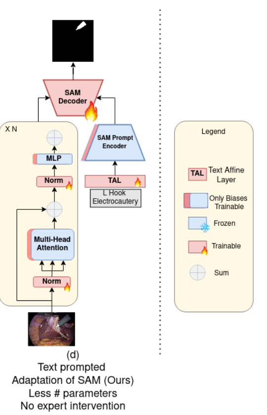 SAM在医学影像中的应用（最新） - 知乎