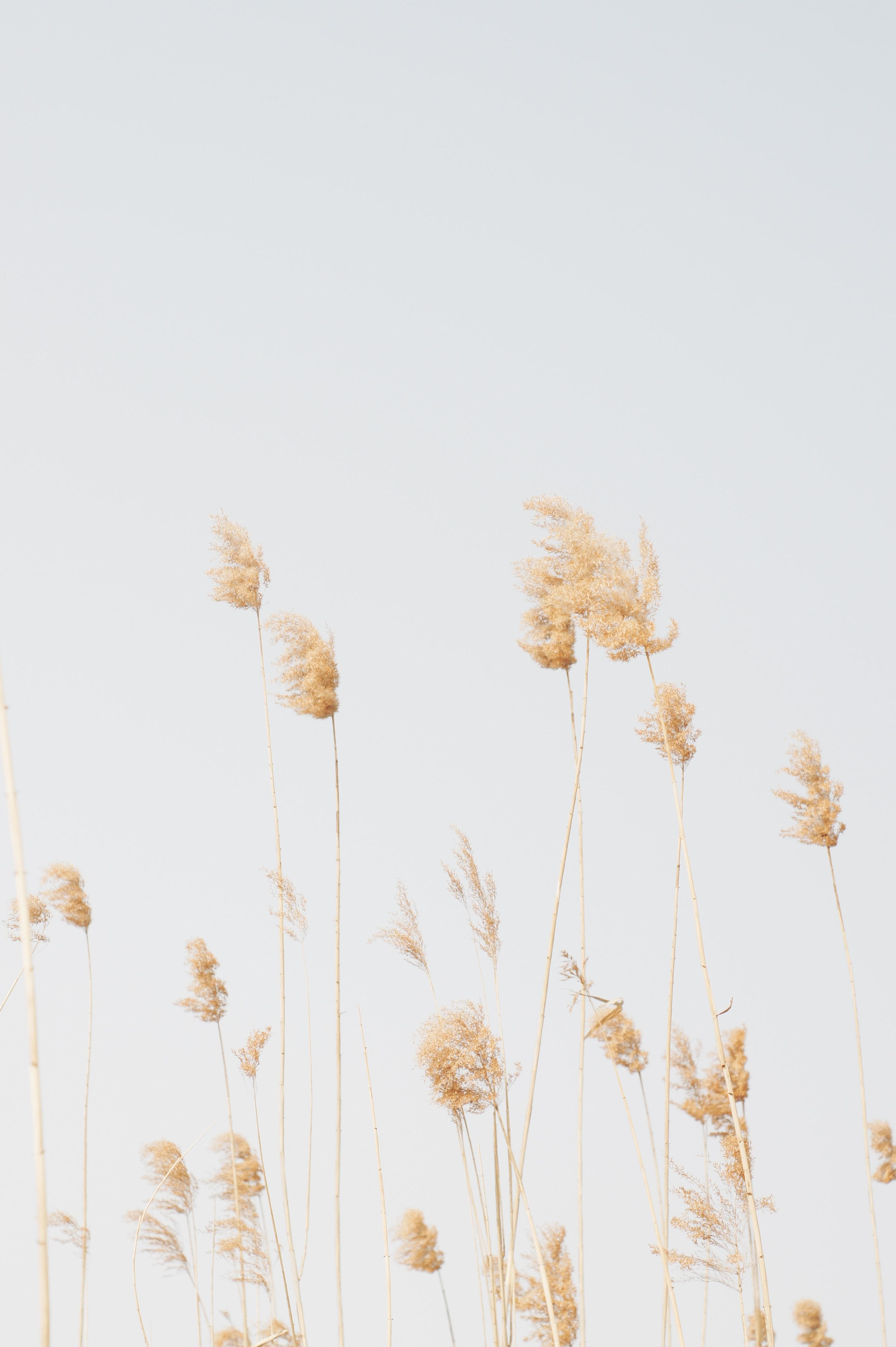 dataclasses vs attrs vs pydantic - 知乎