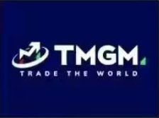 tmgm平台怎么样 - 知乎