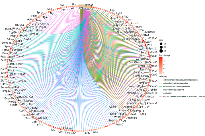 RNA-seq入门实战（六）：GO、KEGG富集分析与enrichplot超全可视化攻略 - 知乎