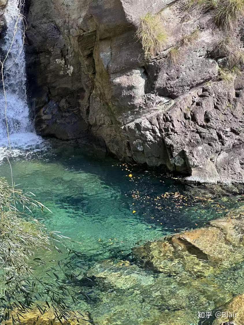 抱走这个粉嫩又好拍的松典迪士尼草莓熊DC306相机 - 知乎