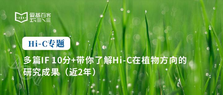 多篇IF 10分+带你了解Hi-C在植物方向的研究成果（近2年） | Hi-C专题 - 知乎