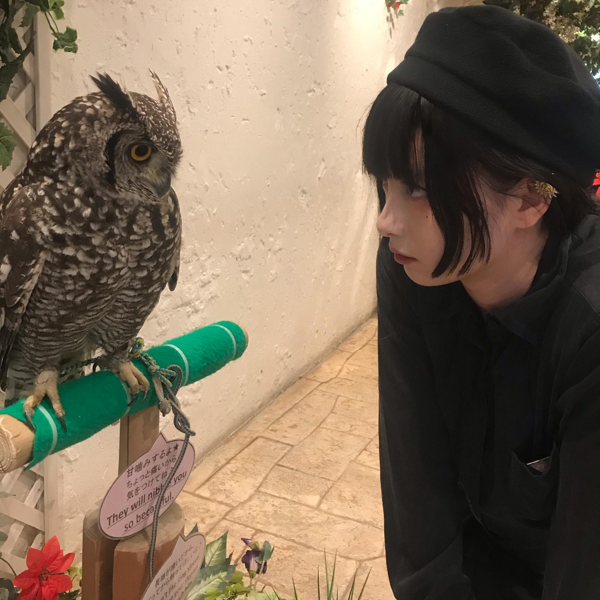 Scala序列学习小结 - 知乎