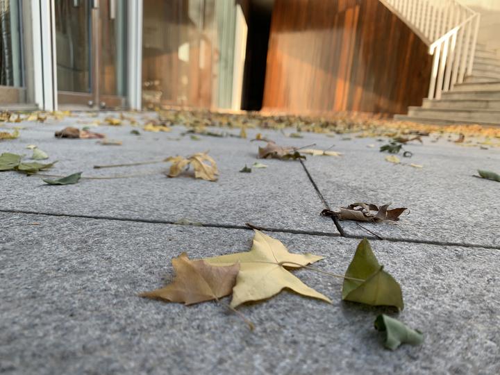 图解LeetCode——剑指 Offer 32 - III. 从上到下打印二叉树 III - 知乎