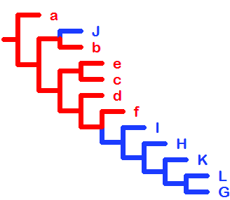 TNT学习笔记（Tree Analysis Using New Technology）-1 - 知乎