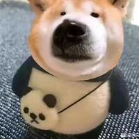 月销1.2万台，比亚迪海狮05EV 12.78万起贵不贵？同级有优势 - 知乎