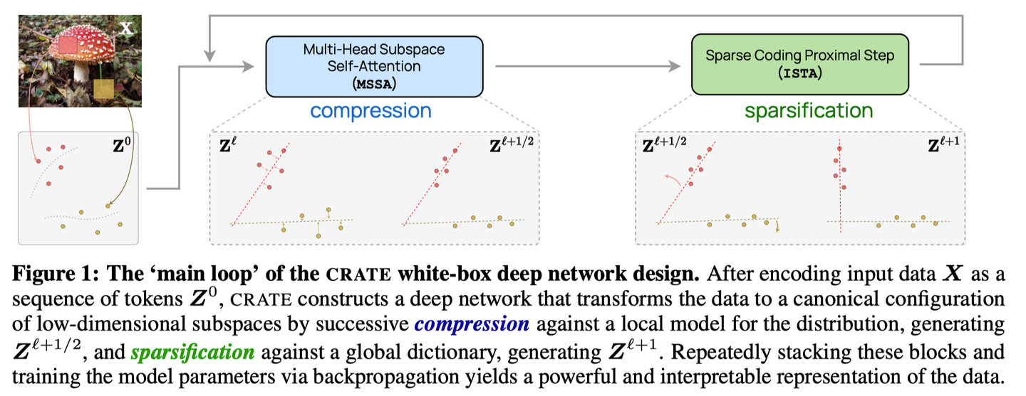 【数学可解释的白盒Transformer】White-Box Transformers via Sparse Rate Reduction - 知乎