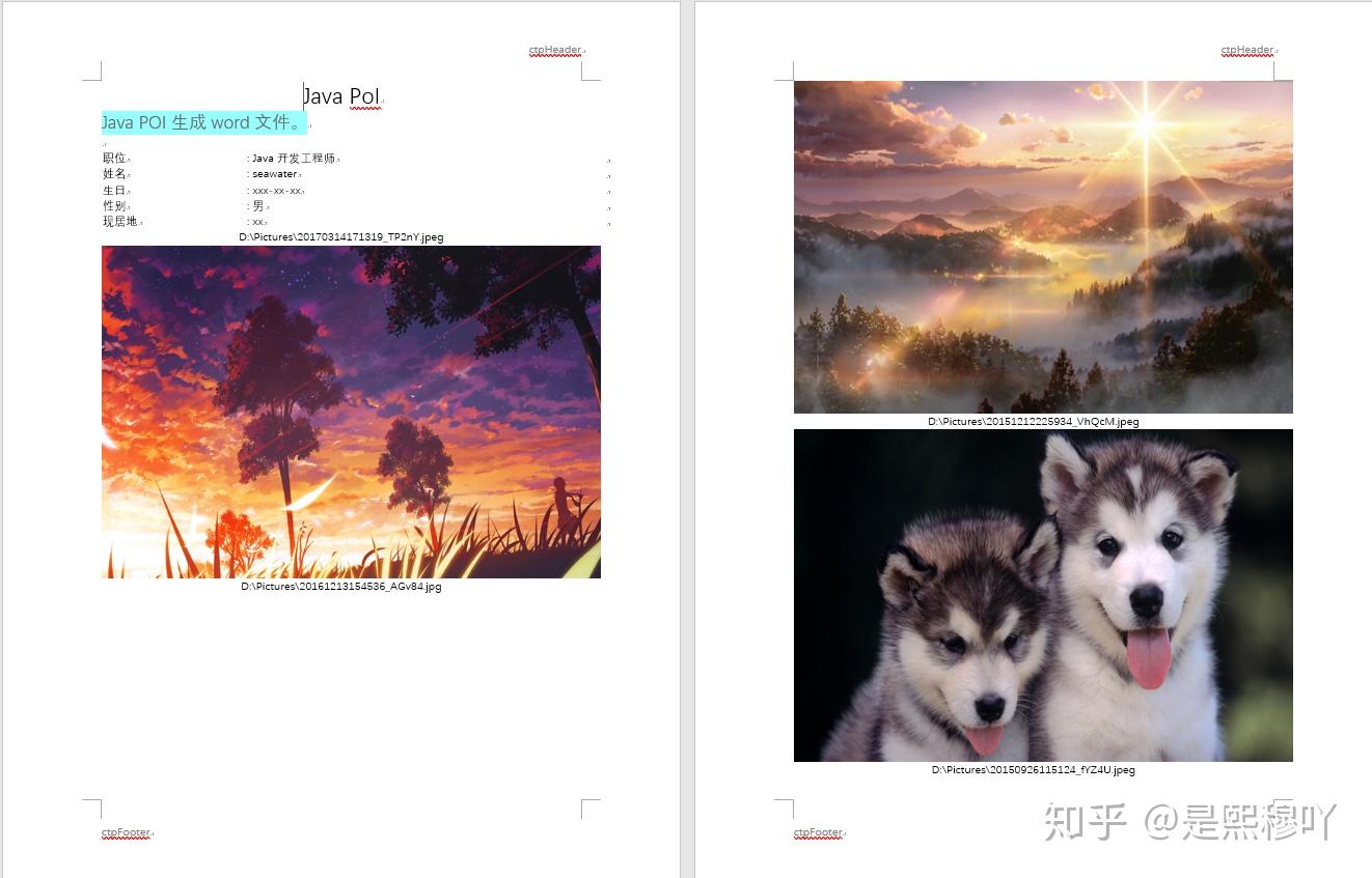 Java导出word文档(POI&Spire.Doc) - 知乎