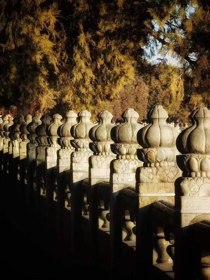 CATTI和MTI每日一译Day874 - 知乎