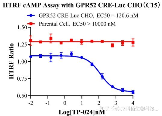 药靶细胞模型---GPR52——神经治疗潜在靶点 - 知乎