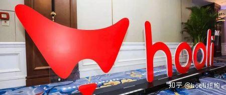 加入hooli，这里总有一个属于你的位置！2020我们一起走！ - 知乎