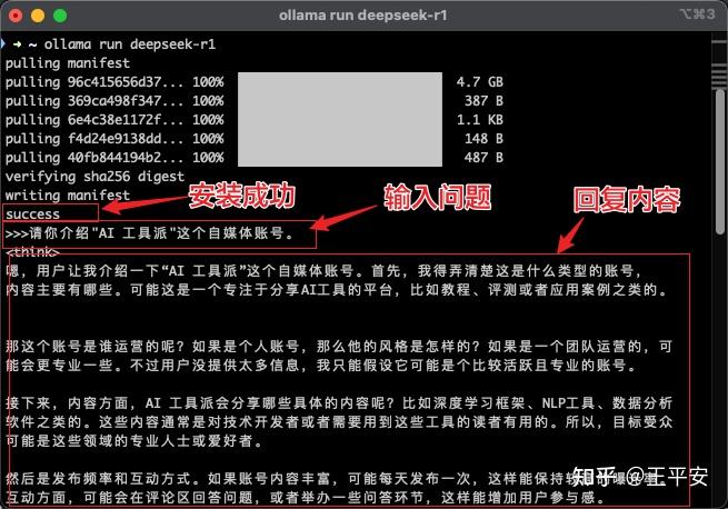 DeepSeek 使用指南：从 API Key 到本地部署，一步到位，推荐 3 款 AI 客户端 - 知乎