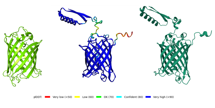 一键使用AlphaFold2—基于ColabFold - 知乎