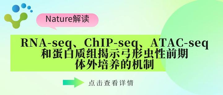 Nature解读｜RNA-seq、ChIP-seq、ATAC-seq和蛋白质组揭示弓形虫性前期体外培养的机制 - 知乎