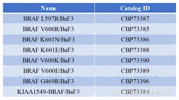药靶细胞模型——BRAF相关突变细胞强势登场 - 知乎