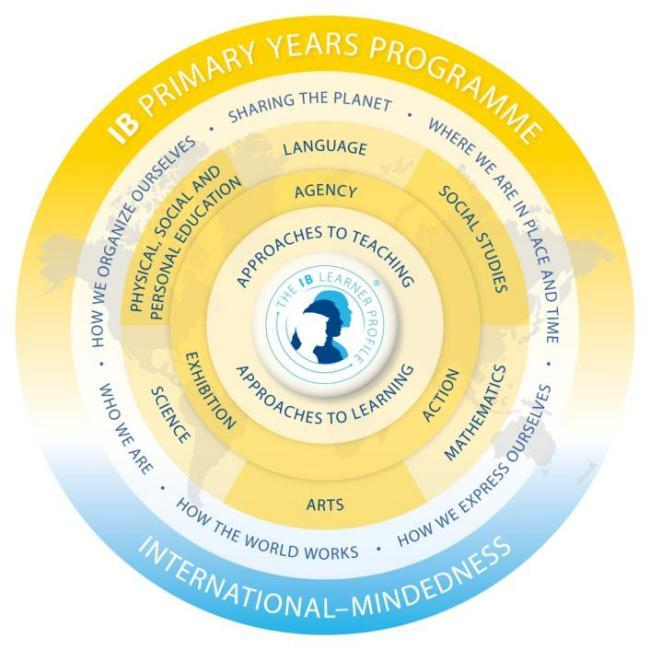 IB PYP 项目简介 - 知乎
