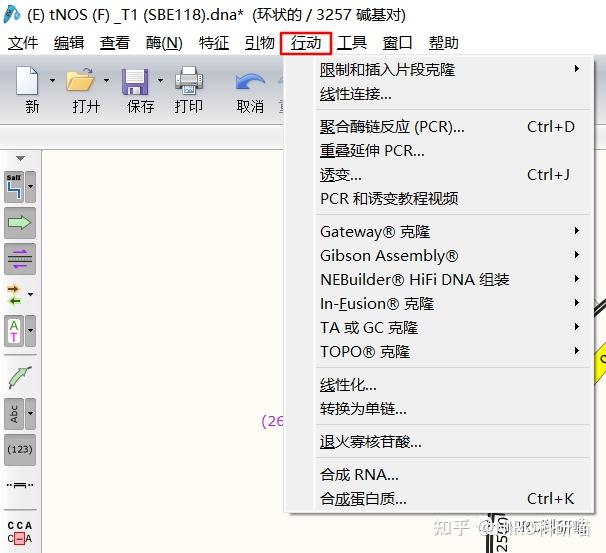 超详细的保姆级SnapGene软件应用汇总，建议收藏备用！！！ - 知乎