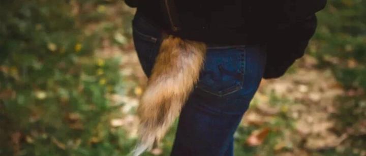 如果你有条尾巴，你会______ - 知乎