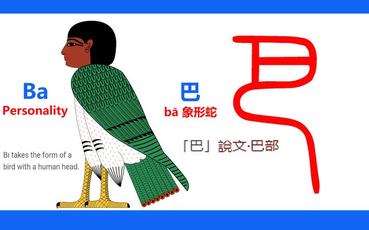 Jinline：汉语 鸡巴”与古埃及的 Ba神有没有联系？ 知乎
