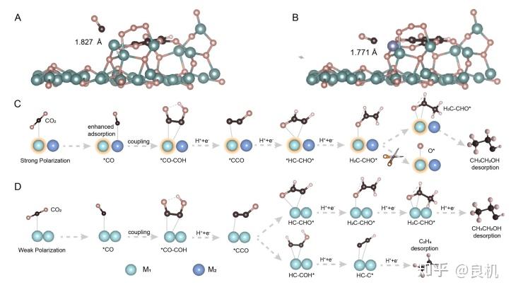 Angew II 自极化触发的多极单元以高选择性电化学方式将二氧化碳还原为乙醇 - 知乎