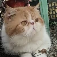 TA日记：关于Mipmap的一些记录 - 知乎