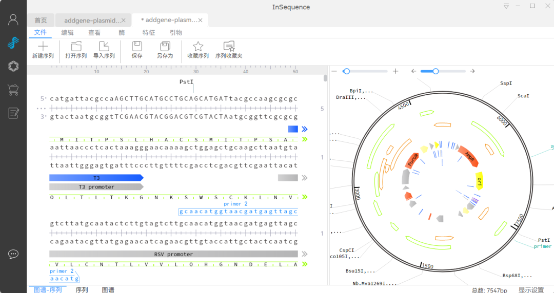 对标SnapGene！国内首款纯自主研发DNA/RNA/蛋白序列编辑器鹰谷InSequence邀您使用！ - 知乎