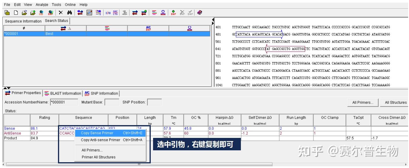 Primer Premier 6，3分钟教你完成引物设计（含软件安装） - 知乎