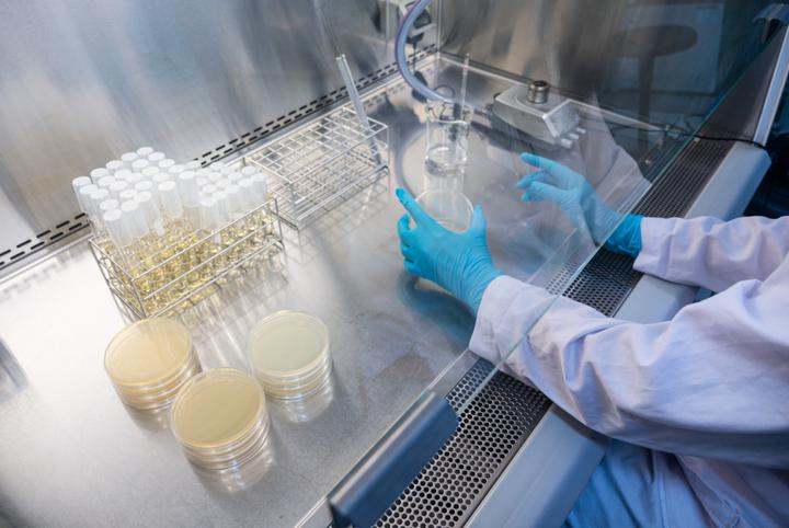 HEPES缓冲液在细胞培养基中的作用 - 知乎