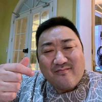 用于目标检测的红外和可见光图像的双YOLO架构 - 知乎