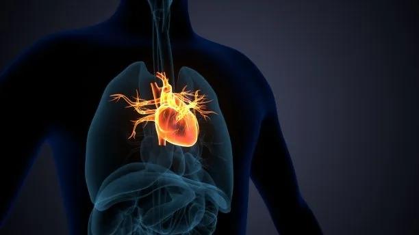 怎样发表学术论文:CIRCULATION JOURNAL - 知乎