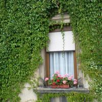 Seurat绘图报错-Error in Ops.data.frame(guide_loc, panel_loc) - 知乎