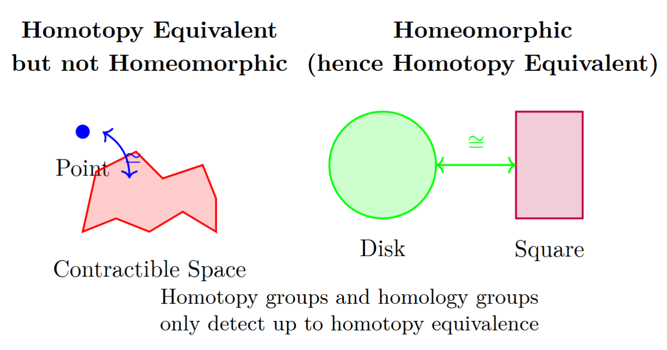 Homology 和 Homotopy 能在多大程度上完全决定一个流形的拓扑？ - 光辉233 - 博客园