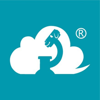 Angew：分级多孔碳边缘锚定Co−N4位点，提高双电子氧还原反应的选择性 - 知乎